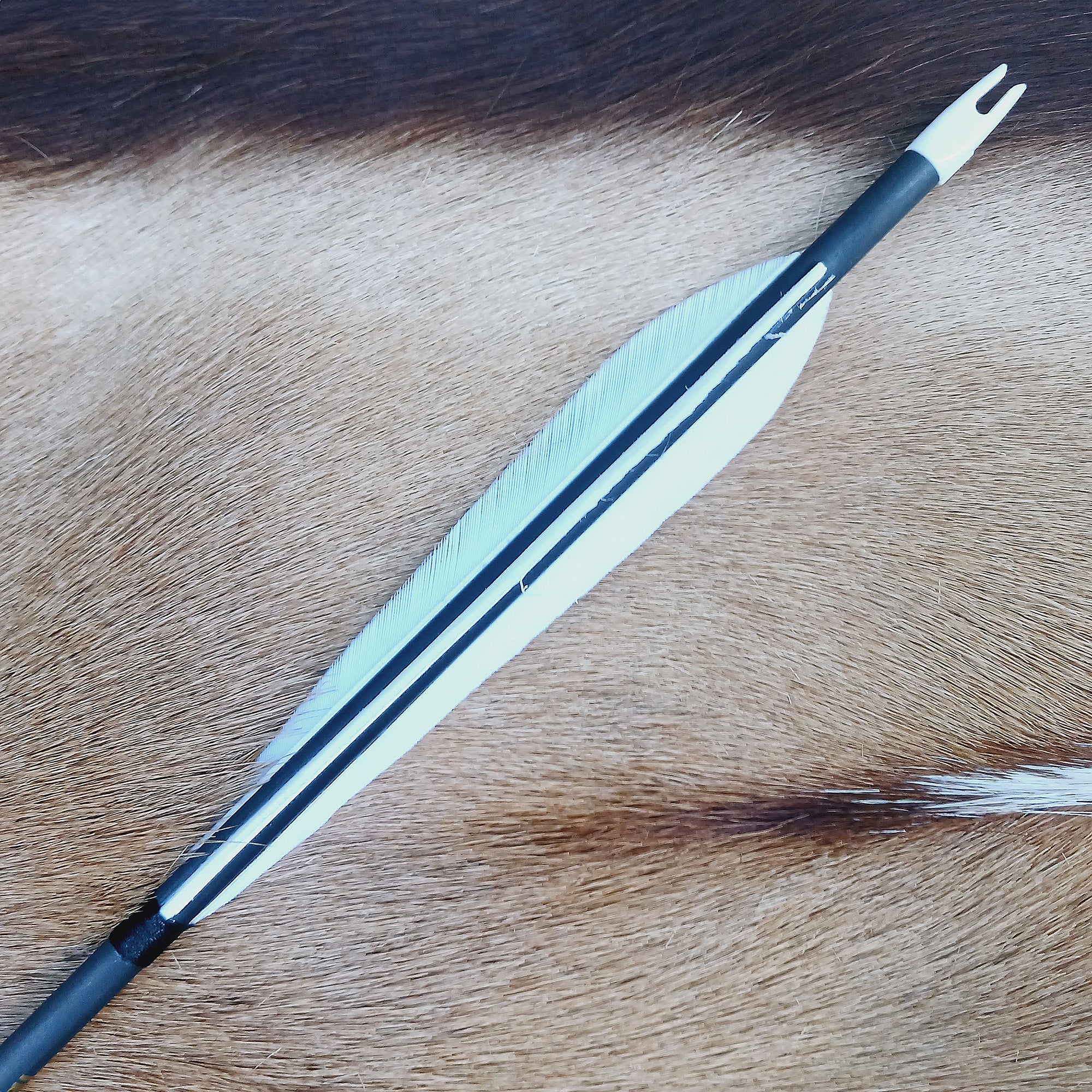 Ali Bow Carbon Arrows - Up to 36" - White Feathers – Lost Arts Archery ...